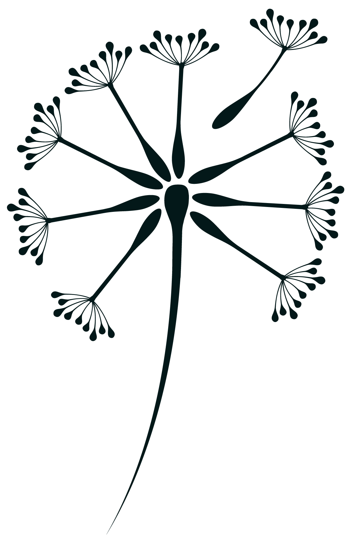 About - Anemochory Consulting - Fostering Inclusive Workplaces